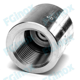 Stainless steel cap NPT | Syveco